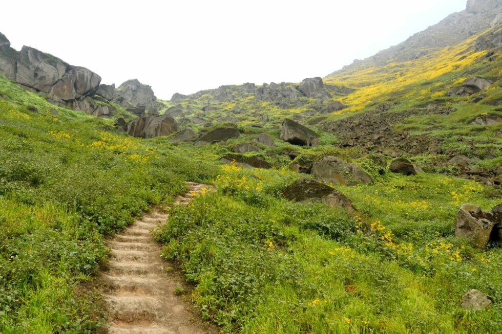 El valor histórico de las lomas de Lima | Revista Gobernanza Social